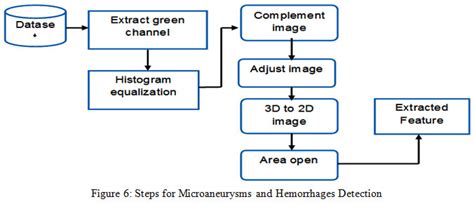 Diabetic Retinal Fundus Images Preprocessing And Feature Extraction