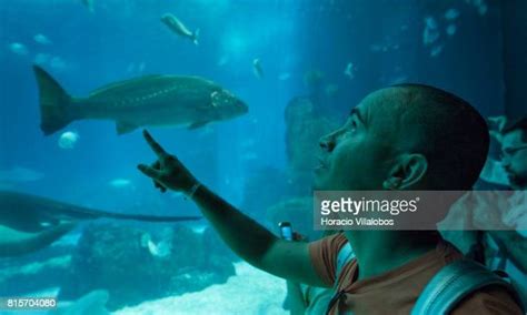Safe The Planet Photos And Premium High Res Pictures Getty Images