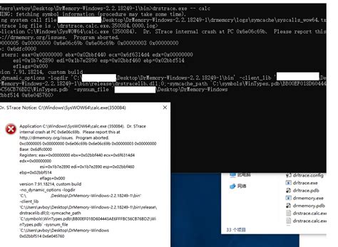 bug？issue？ · issue 2238 · dynamorio drmemory · github