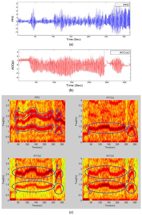 Time Frequency Spectra Of Recording 8 From Dataset 1 A Ppg Download Scientific Diagram