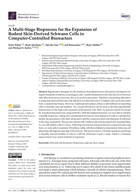 Pdf A Multi Stage Bioprocess For The Expansion Of Rodent Skin Derived Schwann Cells In