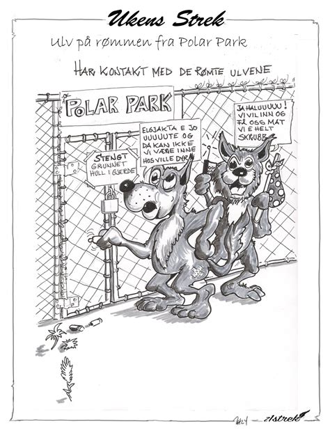 Ukens Strek Ulv Ukens Strek Ulver På Rømmen
