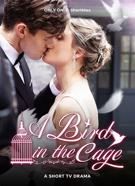 A Bird In The Cage 2024