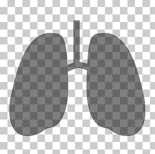 Cardiac Output Intensive Care Medicine PiCCO Edwards Lifesciences Monitoring PNG Clipart