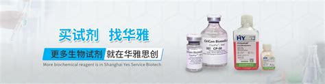 Bd 554722 Cytofixcytoperm™ Fixation And Permeabilization Solution 上海华