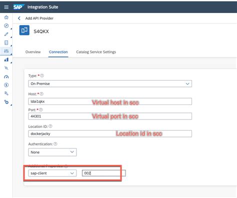 Create Api Provider In Sap Integration Suite For S Sap Community