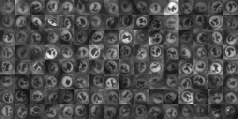 Continuum Visualization On The Basis Of The Discriminator Score Most Download Scientific