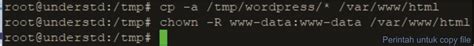 cara menginstal wordpress pada nginx atau lemp ubuntu server