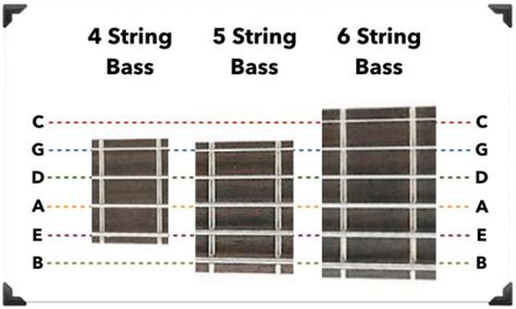 Best Bass Guitars 2024 Ultimate Buyers Guide For Bassists 🎸