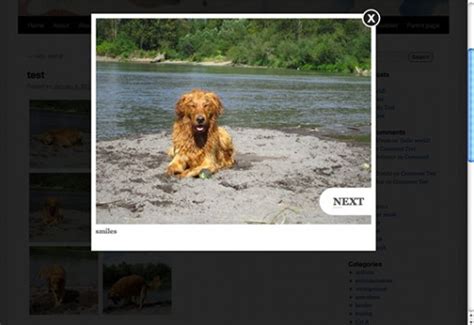 20 Must Have Wordpress Plugins For Portfolio Websites Idevie