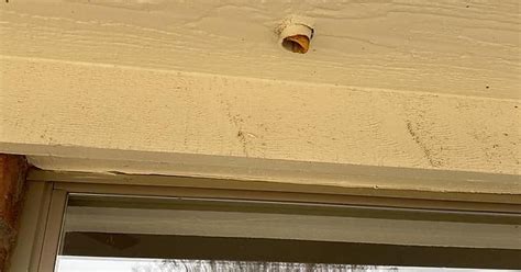 Pvc Drain Pipe Album On Imgur