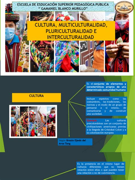Definición De Cultura Multiculturalidad Interculturalidad Pdf Multiculturalismo