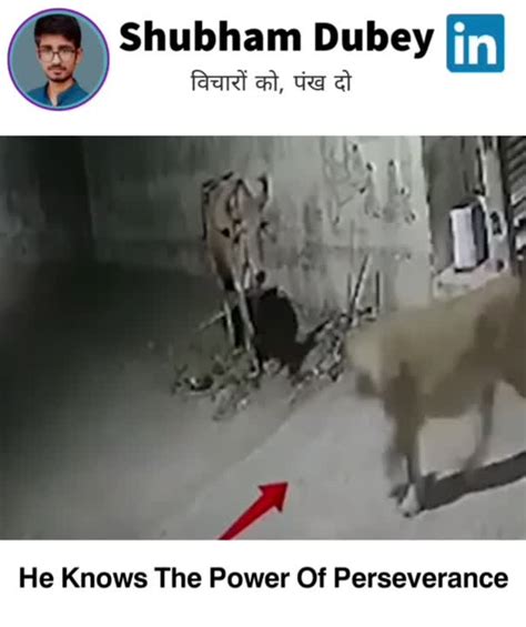 shubham dubey on linkedin motivation corporate 27 comments
