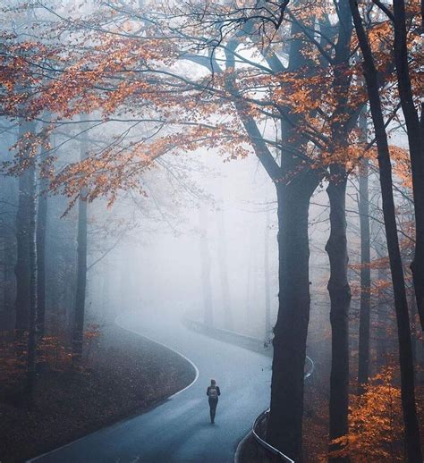 სიგიჟე ქარში მოკვდავებს ქარში შენ ჩემი ბედნიერება გქვია Facebook