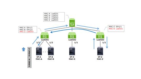 Cisco Bridge Domain Domainvb