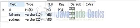 SQL Constraints Example Java Code Geeks