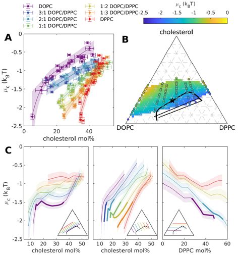 µc In Ternary Dopc Dppc Cholesterol Membranes A Measured µc For Download Scientific Diagram
