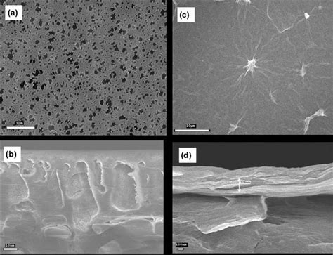 Fesem Image Of The Resulting Membrane A And B Show Download