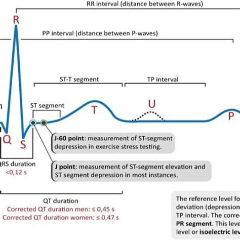 Representation Of Ecg Signals And Its Intervals Between Wave Download