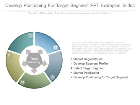 Develop Positioning For Target Segment Ppt Examples Slides Powerpoint