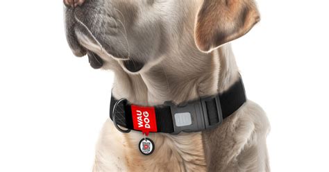 WauDog WaterProof Collar, водостойкий ошейник для собак