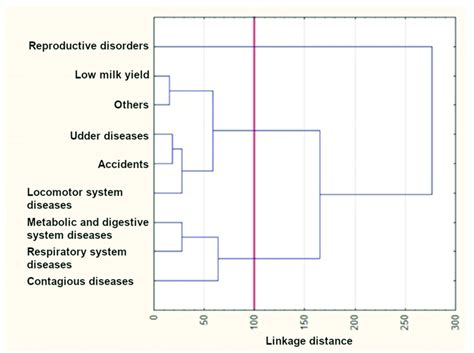 The Results Of The Cluster Analysis Using Wards Method For The First