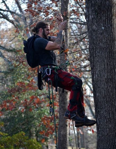 Man Rescues Cat From Tree And The Pics Go Viral But Not Because Of The Cat Filter Free