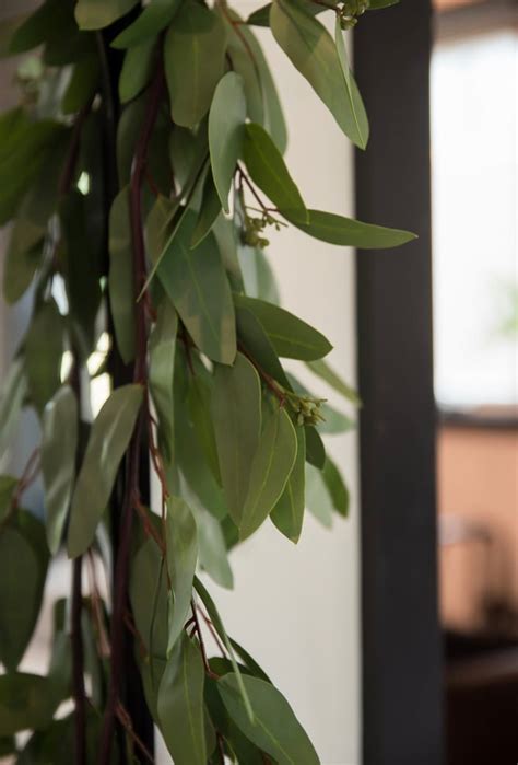 Long Leaf Eucalyptus Garland 5 Greenery Market