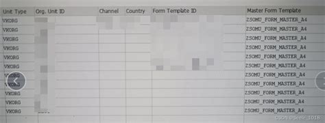 sap 输出管理：生成自定义发票文件 sap 发票 output csdn博客