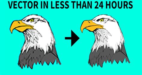 Do Vector Tracing Convert Images To Vector By Ahmedeltayeb Fiverr