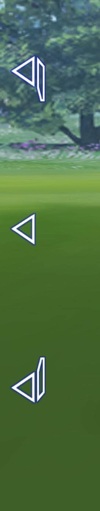 Whats This That Appears During A Quick Catch R Thesilphroad