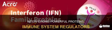 Interferons Powerful Proteins Immune System Regulators Medshun