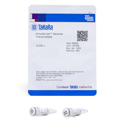 Efficient Preparation Of Cdna Primescript Reverse Transcriptase