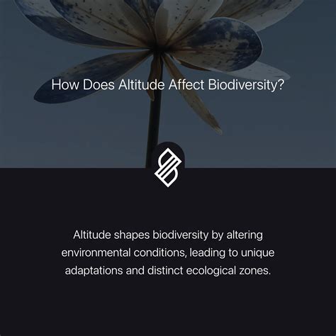How Does Altitude Affect Biodiversity → Question