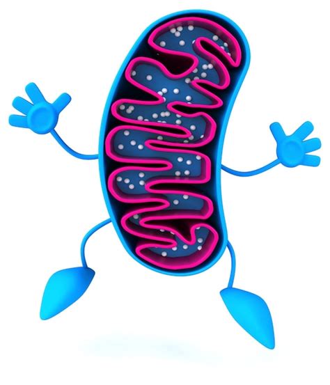 Premium Photo Fun 3d Cartoon Mitochondria Character