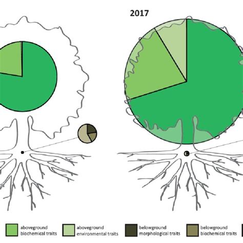 Proportion Of Root And Shoot Traits Found In The Try Plant Trait