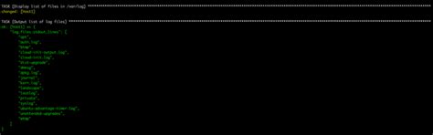 Using Ansible Shell Module To Execute Remote Commands