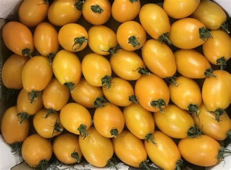 Поставщик овощей и фруктов в рестораны бары и столовые Москва ПЕРВЫЙ ФРУКТОВЫЙ