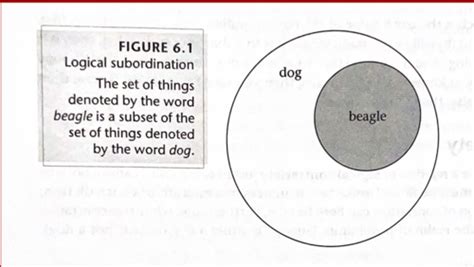 linguistics semantics flashcards quizlet