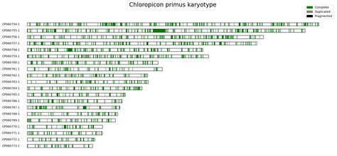 Functionalities — Busco Plot Py 002 Documentation