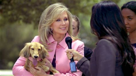 Filmfather Wiener Dog Nationals 2013