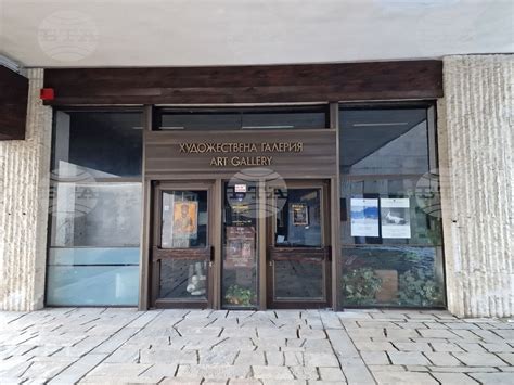 Дъщерята на родопския художник Анастас Стайков предлага Художествената галерия в Смолян да носи