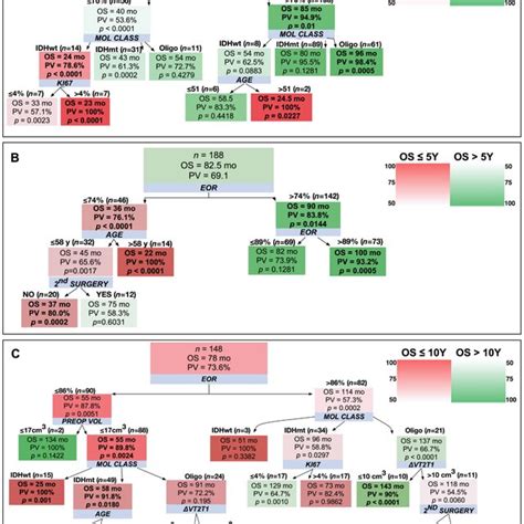 Decision Trees Dt To Predict An Os 3 Years A 5 Years B And Download Scientific Diagram