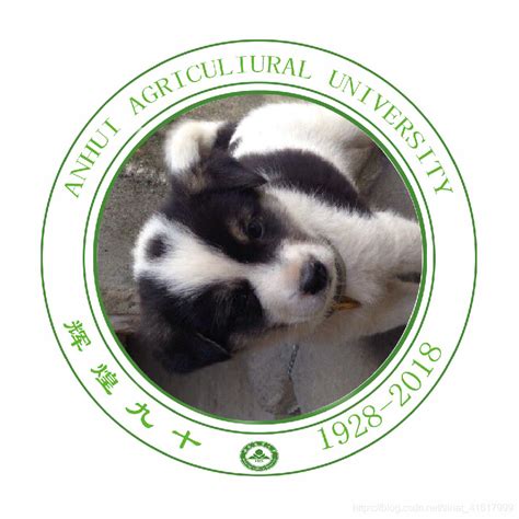 微信小程序修改制作生成头像——校庆头像制作小程序校庆头像框小程序 Csdn博客