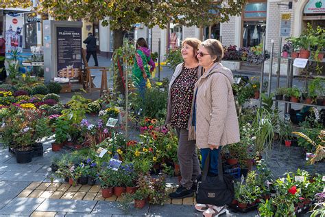 Otvorena „cvetna Pijaca“ U Centru Grada Visit Zrenjanin