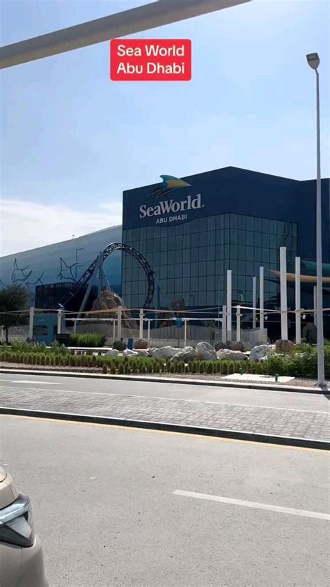 Dubai To Seaworld Yas Island Trip Visit Bus Sea World Abu Dhabi