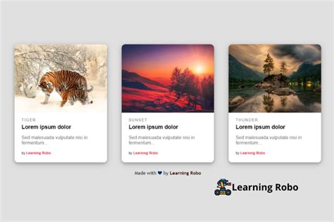 Card Design With A Hover Effect Using Html And Css