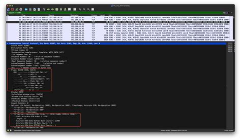 Testing And Debugging L4s In Your App Apple Developer Documentation