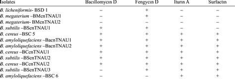Molecular Detection Of Antibiotics Biosynthetic Genes Among The