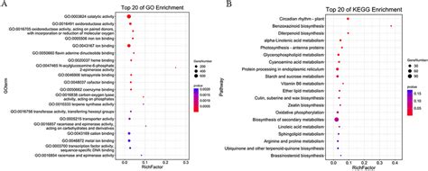Gene Function Annotation Of Profile 7 In Ln A Go Enrichment Analysis